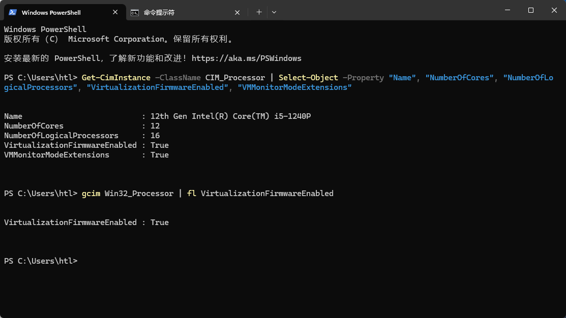 VMware Workstation 虚拟化引擎设置 | 激不起的涟漪